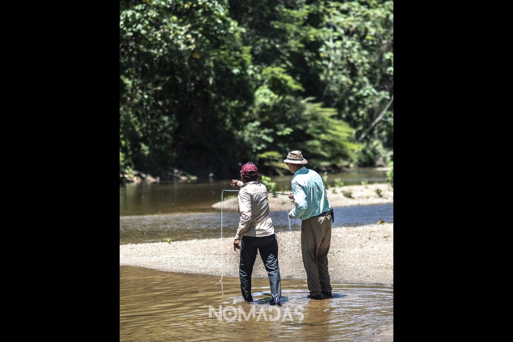 El escudo dorado que protege al TIPNIS - Revista Nómadas